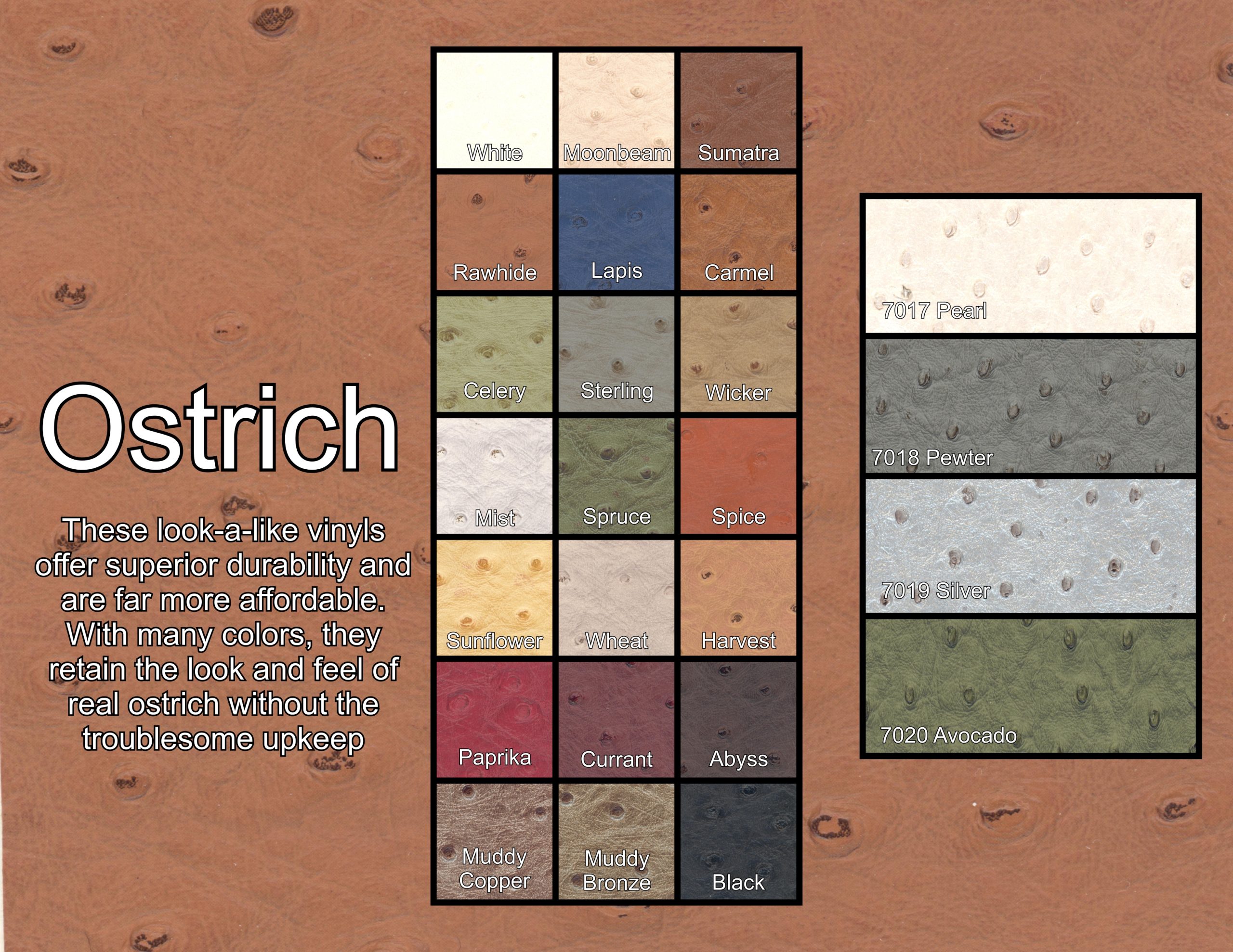 Fabric Choices | New Image Custom Seats